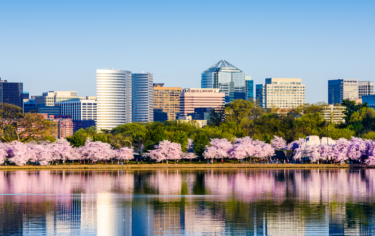 Contact | Armis Federal